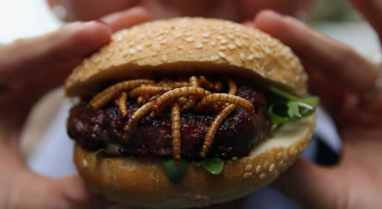 Eating 'Worm Burgers' Helps Fight 'Climate Change,' Scientists Claim ...