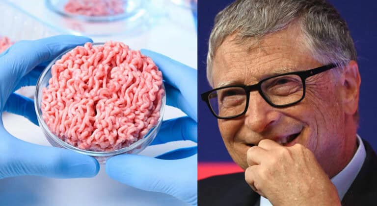 Bill Gates' Lab-Grown 'Meat' 25 Times Worse for Climate than Beef ...