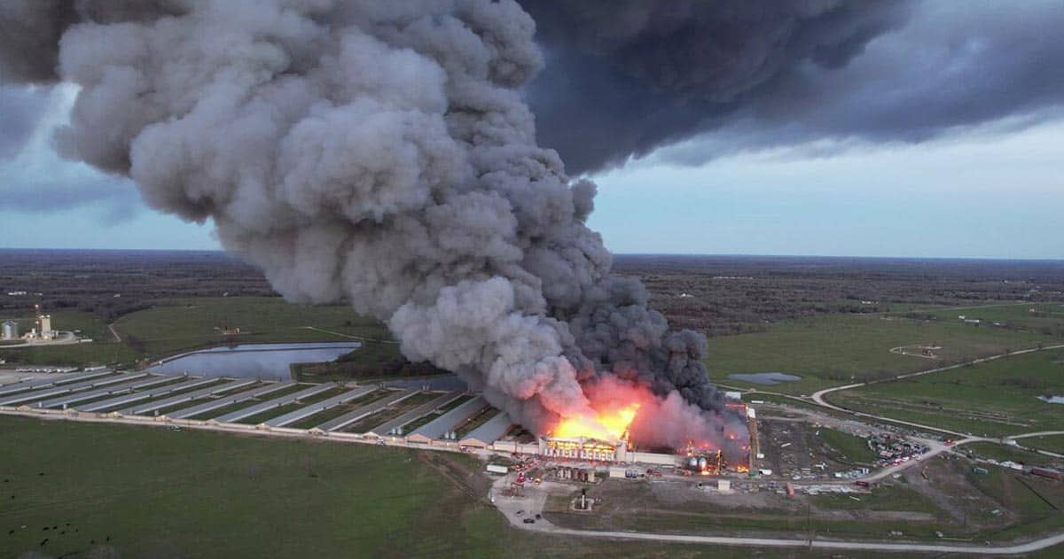 Major Texas Chicken Farm Destroyed by Massive Explosion & Fire - Slay News