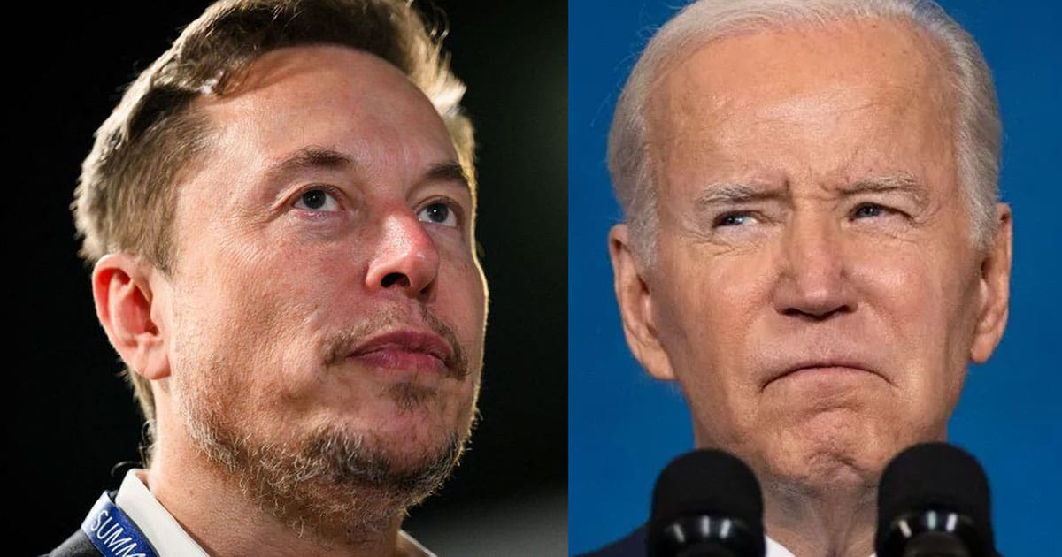 Elon Musk: 'America Is Doomed' without an Election 'Red Wave This ...