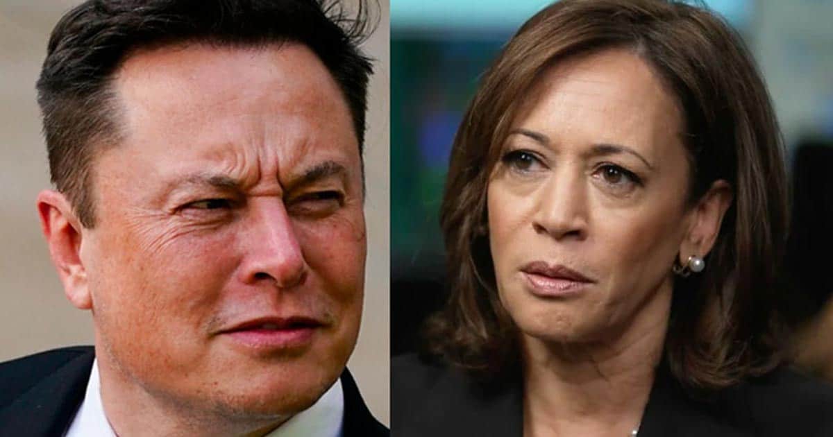 Elon Musk Slams Kamala Harris for 'Lying' about Trump - Slay News