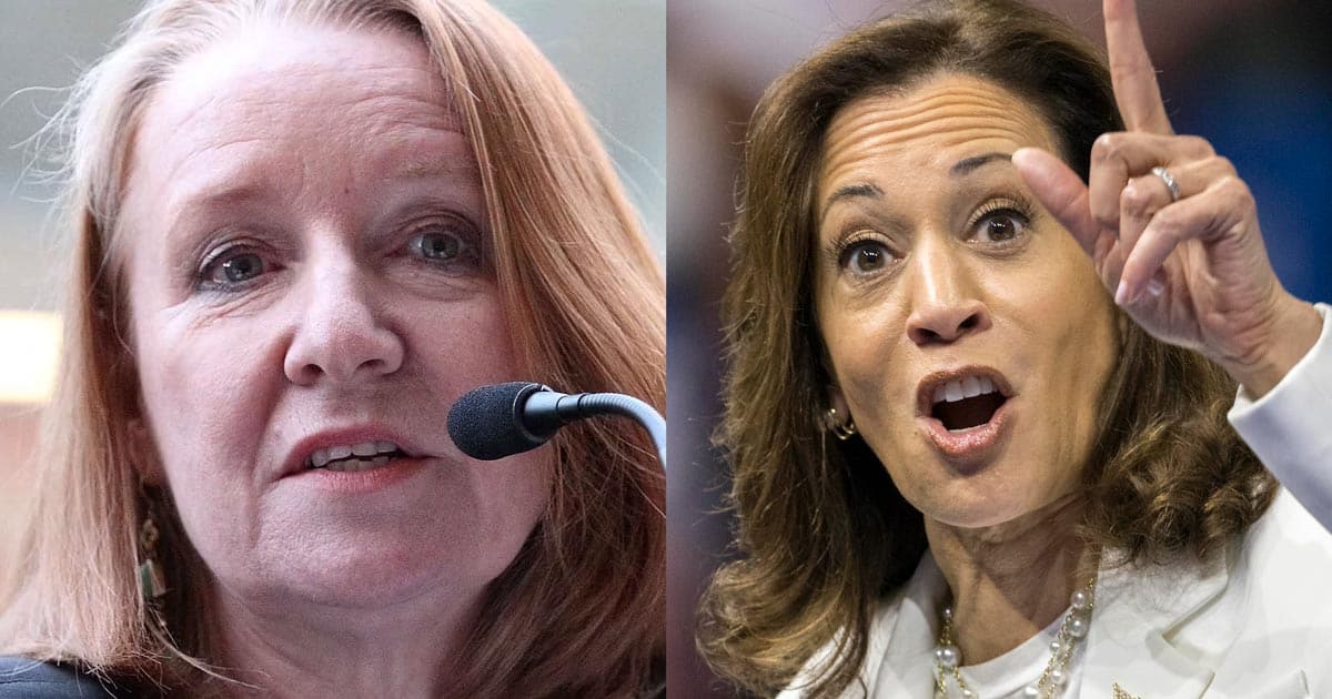 Kamala Harris Hires Top Socialist Strategist to Advise Campaign - Slay News