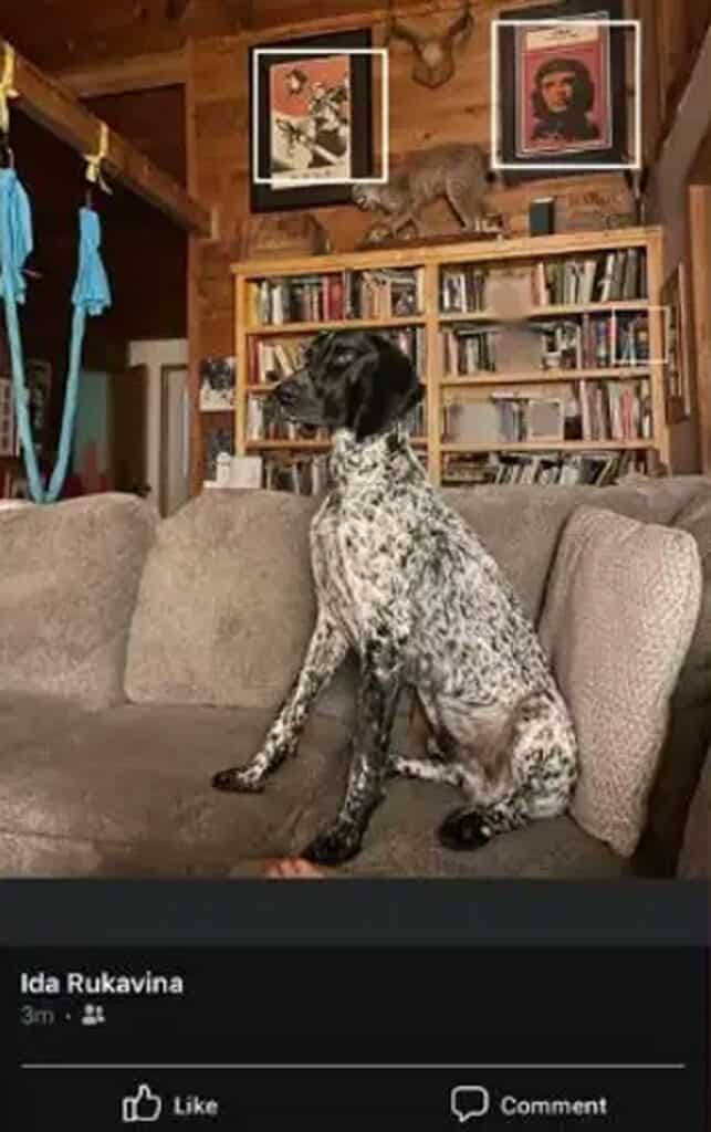 Tim Walz Appointee’s Home Decorated with Images of Communist Dictators ...