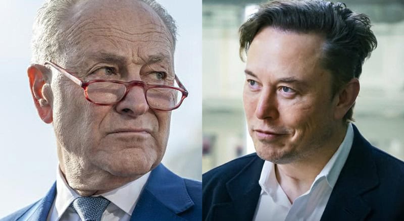 Elon Musk: Chuck Schumer's 'Hysterical Reaction' to DOGE Proves the Work 'Really Matters' - Slay ...