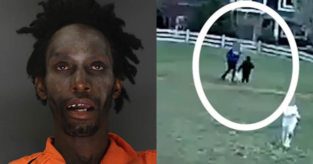 Prosecutor Drops Case Against Dangerous Child Predator After School ...