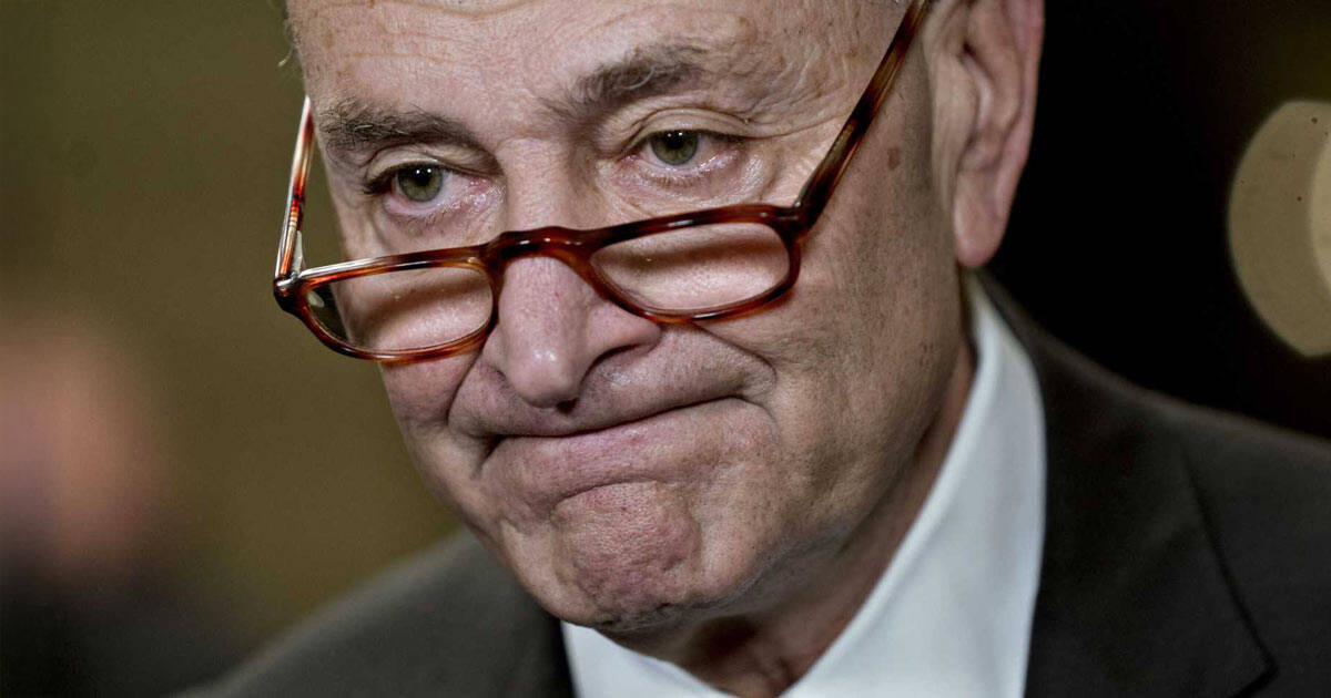 Democrats Scramble for Exit Strategy from Schumer's Record-Breaking Shutdown - Slay News