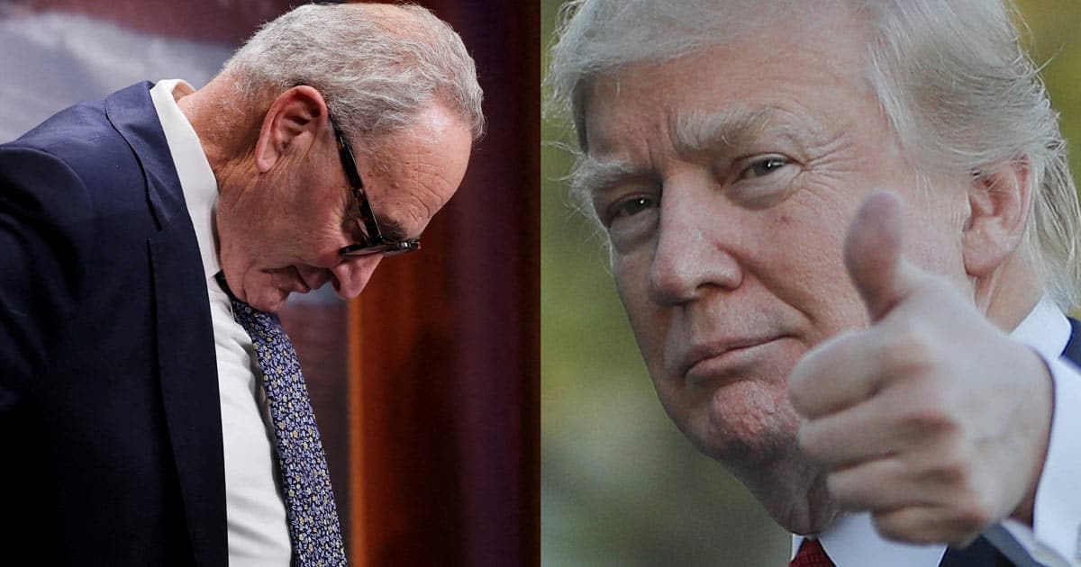 Trump Celebrates Major Win as Senate Ends Democrat Shutdown ...